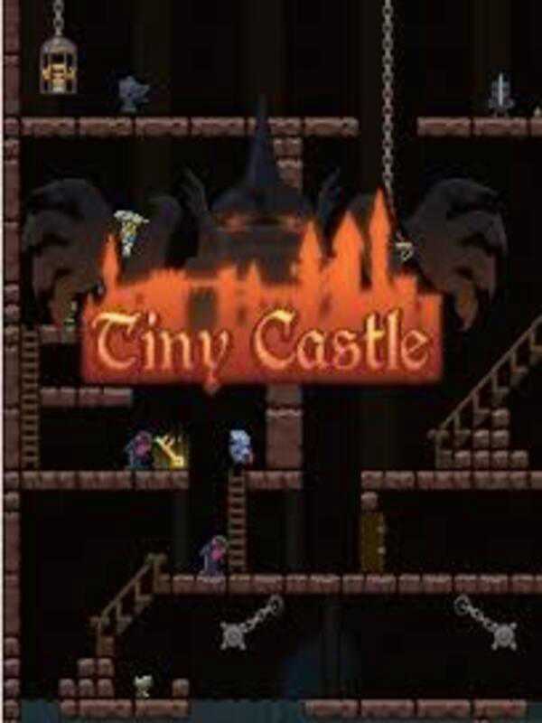 Купить Tiny Castle (2010) по лучшей цене 🏷️ | GameScribe