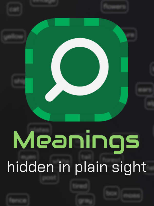 Купить Meanings: Hidden in Plain Sight (2024) по лучшей цене 🏷️ | GameScribe